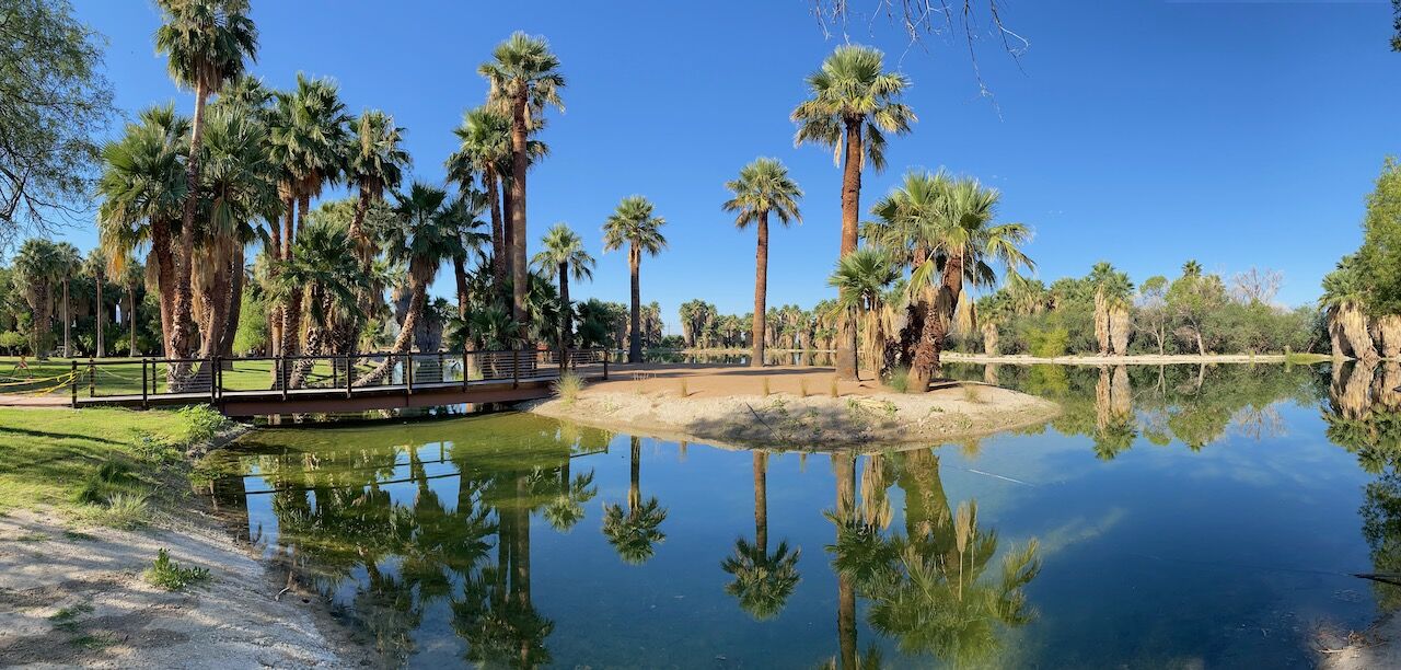 Tucson Birdwatching Guide | Guides | tucsonlifestyle.com