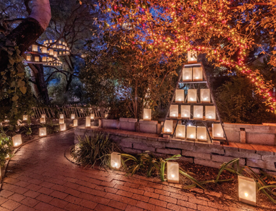 LightsUp! A Festival of Illumination | Datebook | tucsonlifestyle.com