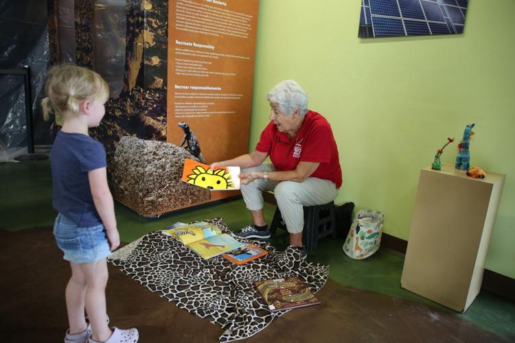 Reid Park Zoo Earns Prestious Accreditation for Excellence | Local ...