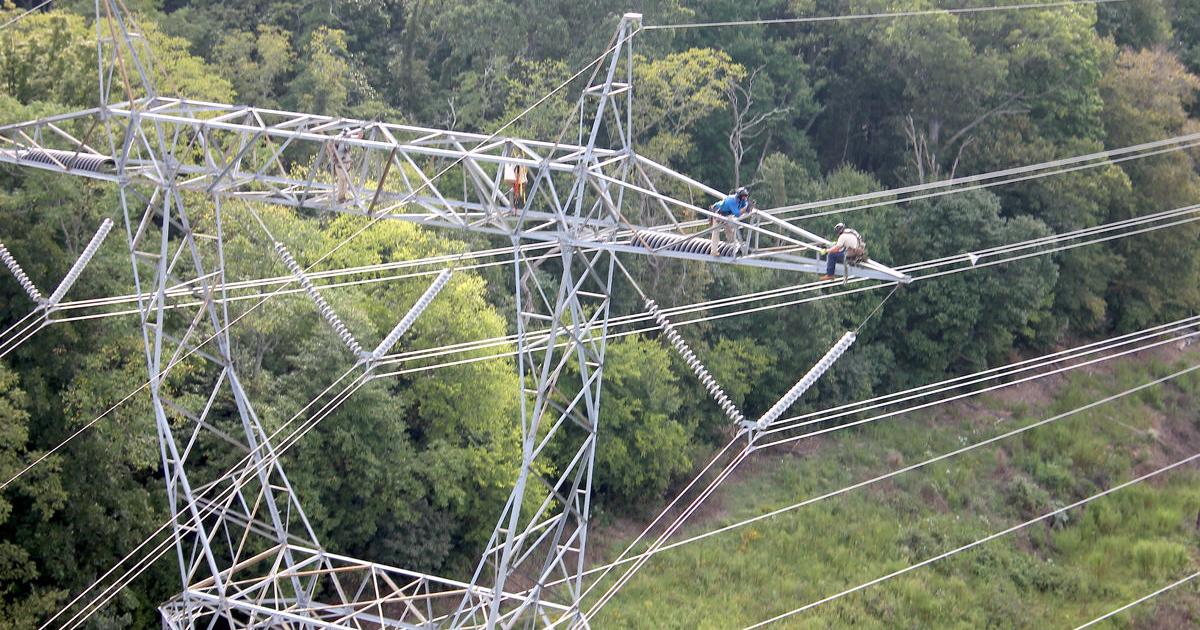 Tva Launches Buzzard Shield Project To Protect Lines Local News