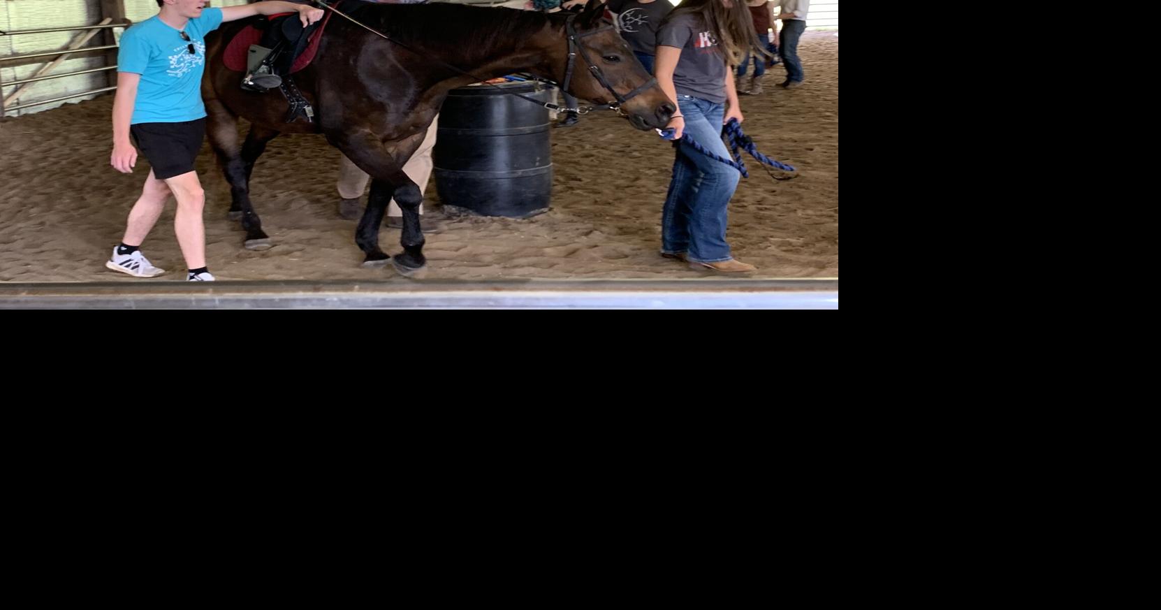 Time to start ‘Horsin’ Around’ with Horse Play’s annual luncheon ...