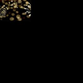 The top stories of 2025 | Local News | tullahomanews.com