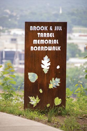 Access for all: Recent renovations have made Chandler Park more ...