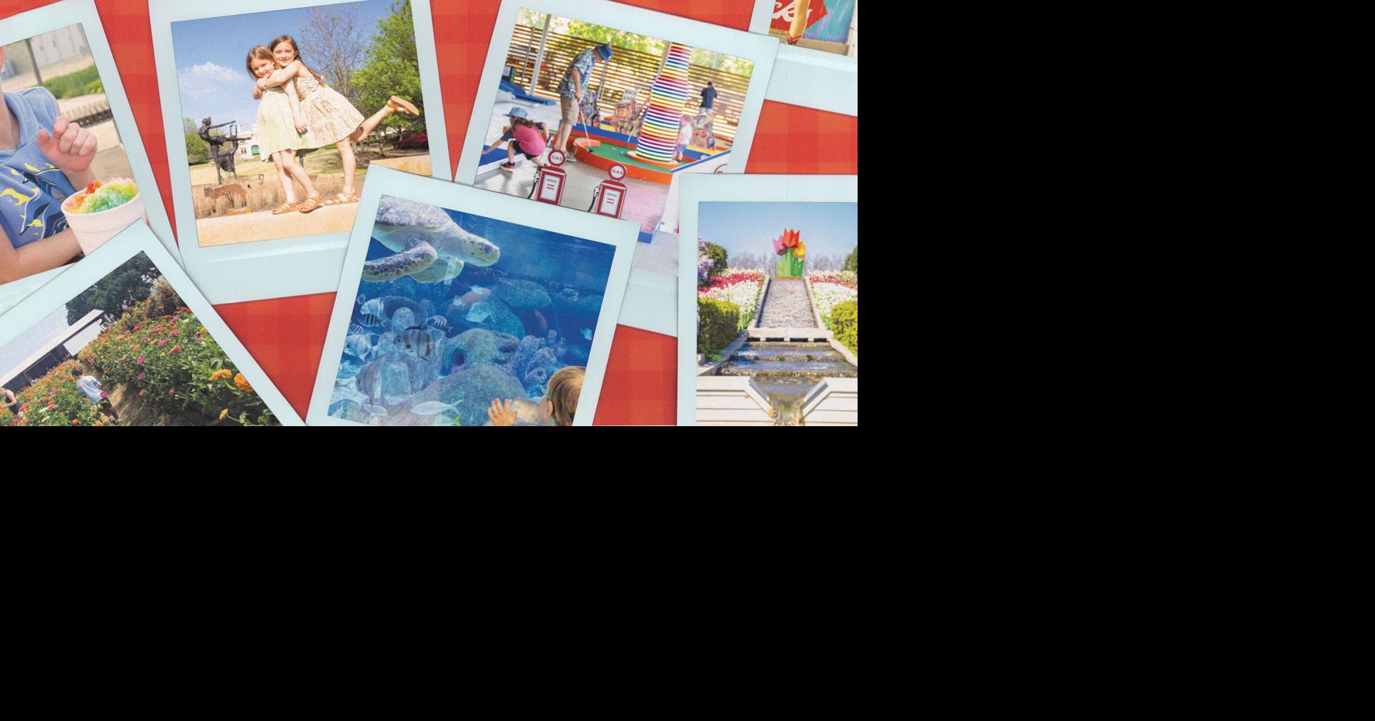 Snapshots of summer: 98 ways to celebrate the summer with something to ...