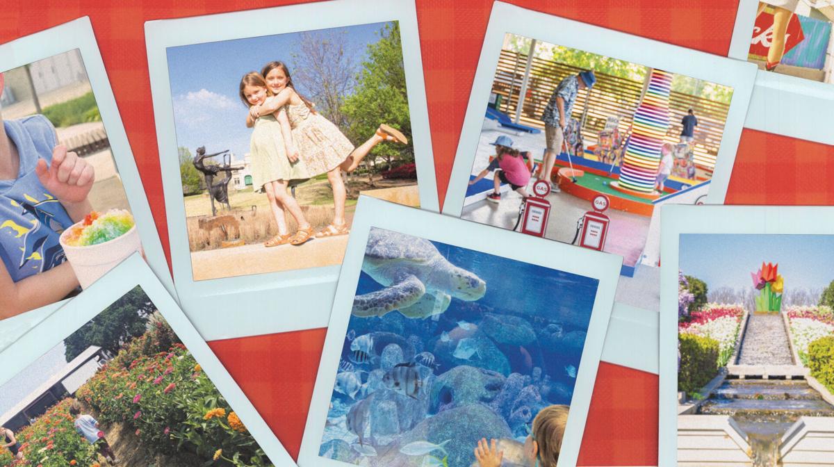 Snapshots of summer: 98 ways to celebrate the summer with something to ...