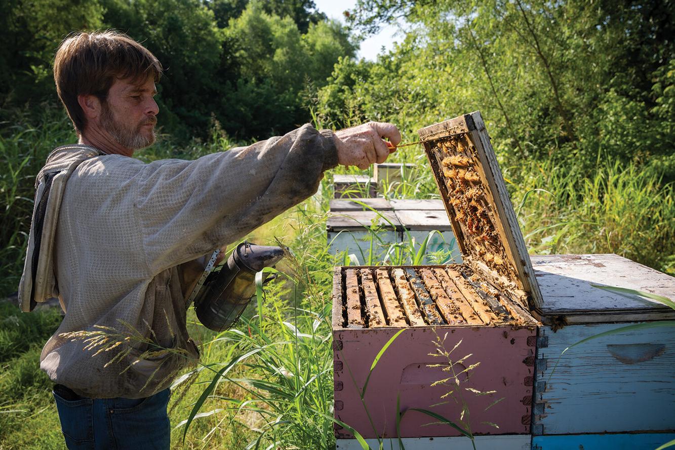 Bee-hind the scenes: Local honey farm produces a robust product lineup ...