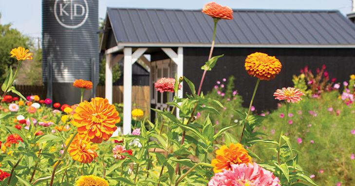 The Studio at K|D offers a seasonal U-Pick experience in southeast ...