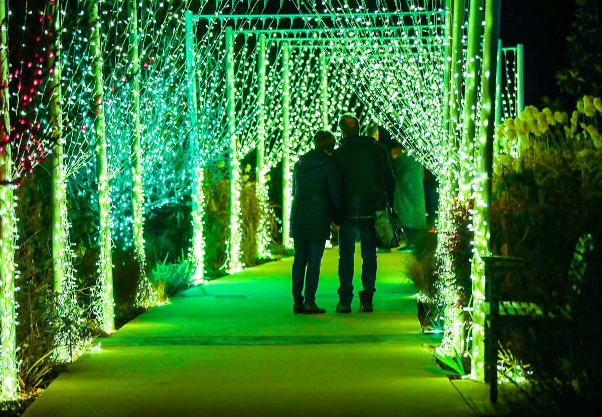 Tulsa Botanic Garden offers magical holiday escape with Botanic Garden ...