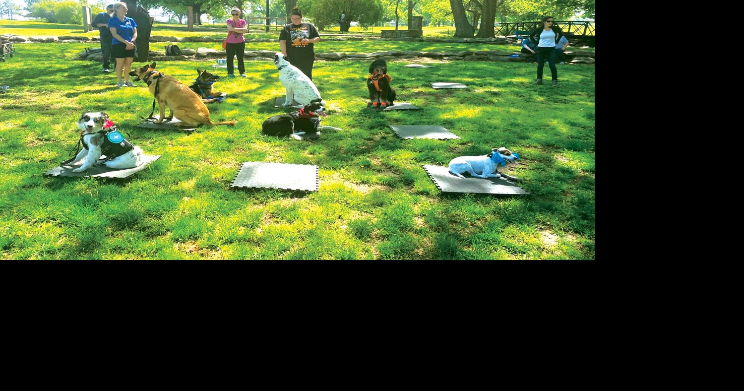 Stress relief: Party prep for pups | City Desk | tulsapeople.com