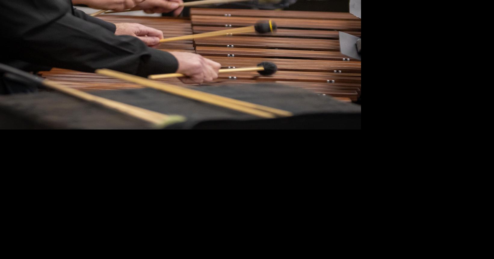Scenes from TSO on the Go at Martin Regional Library | About Town ...