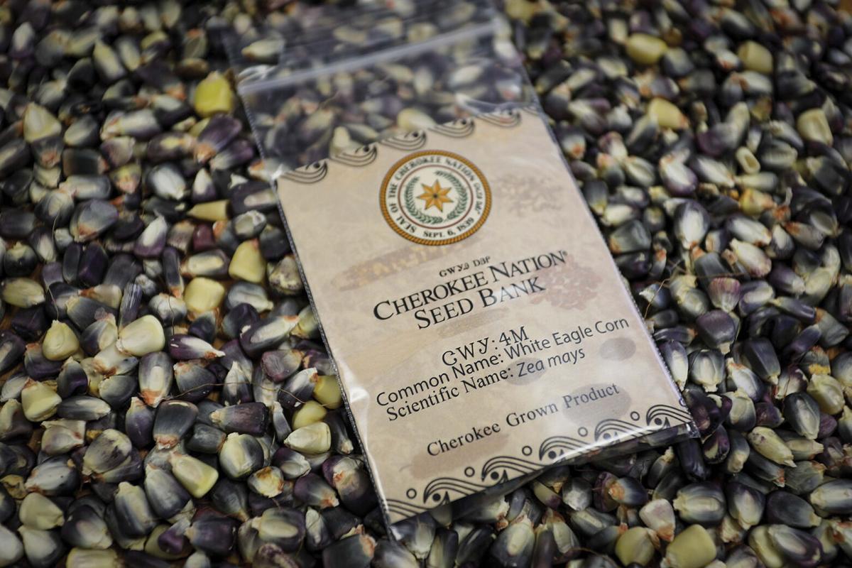 Growing a nation: How heirloom seeds preserve Cherokee culture | City ...