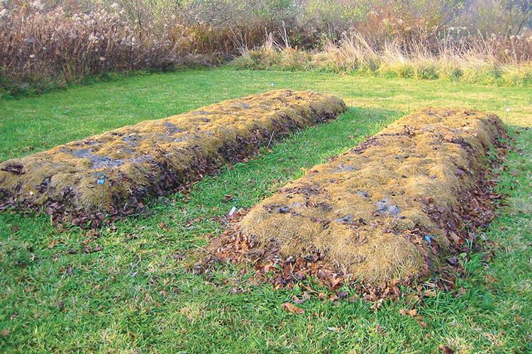 How to start (and maintain) a successful lasagna garden | May-2019 ...