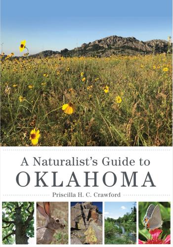 Backyard Biodiversity: A Q&A with author and ecologist Priscilla ...