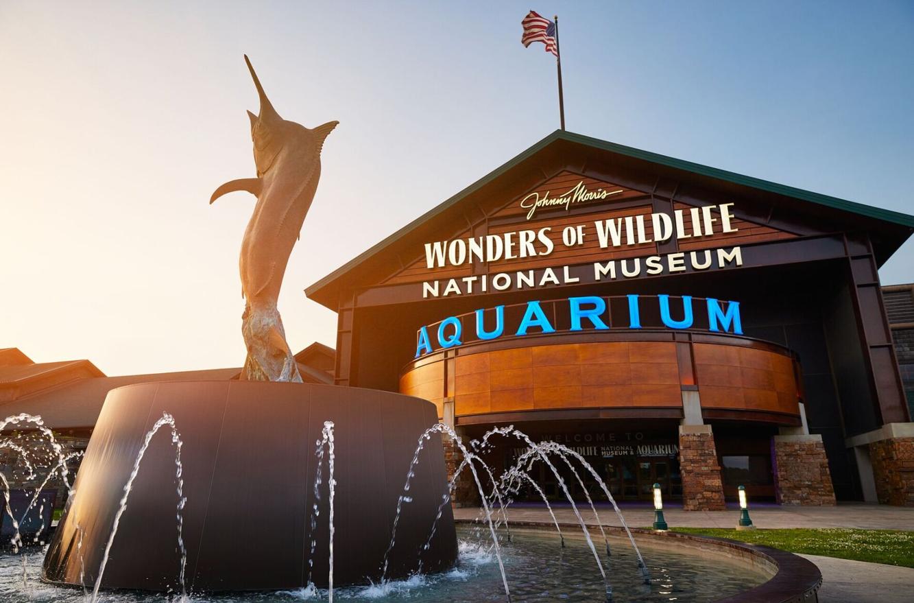 'America's Best Aquarium': Wonders of Wildlife National Museum ...