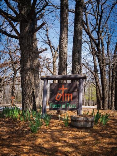 Calls from the Canopy: Osage Forest of Peace offers personal and group ...
