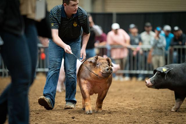 Awesome rides, food and fun: A guide to Tulsa State Fair, Sept. 28 – Oct. 8 | About Town ...