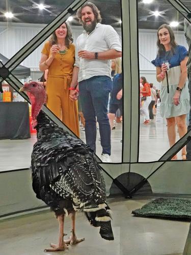 Birds and brews: Sutton Center works to restore bird populations with ...