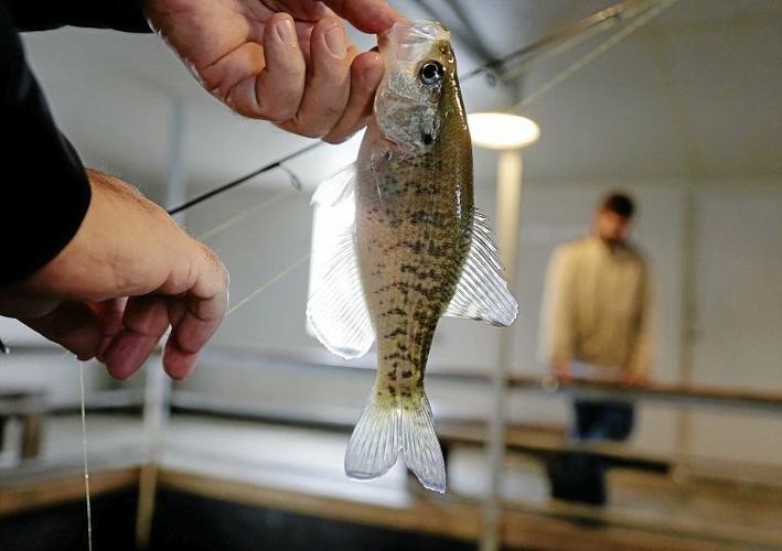 Anglers enjoy all-weather fishing thanks to heated docks