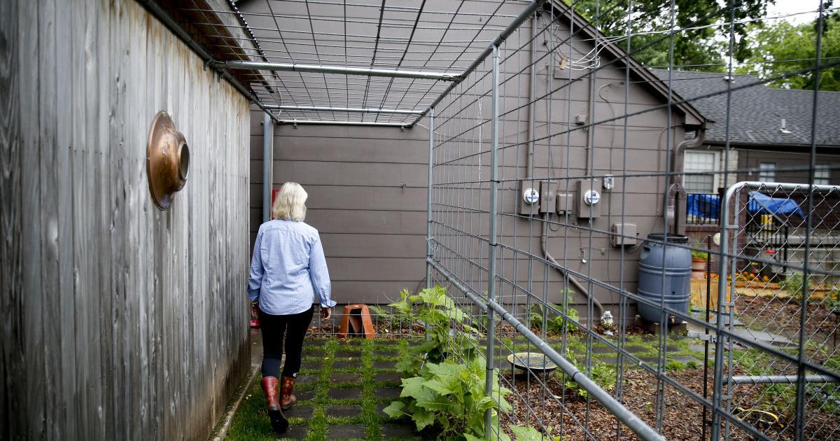 Tulsa backyard features space for wildlife, native plants