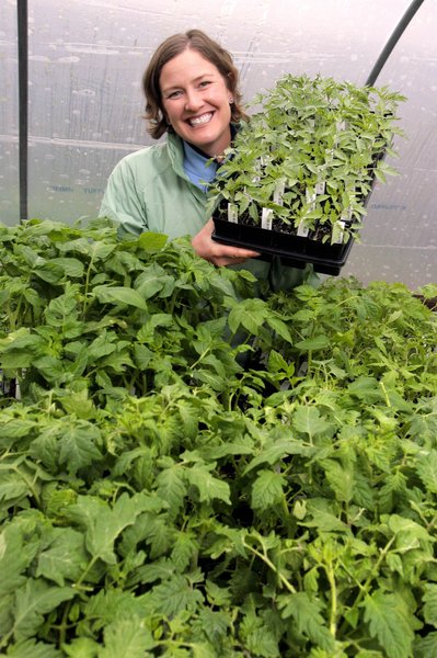 Tomato Man's Daughter opens, lists top 10 tomato plants of the year