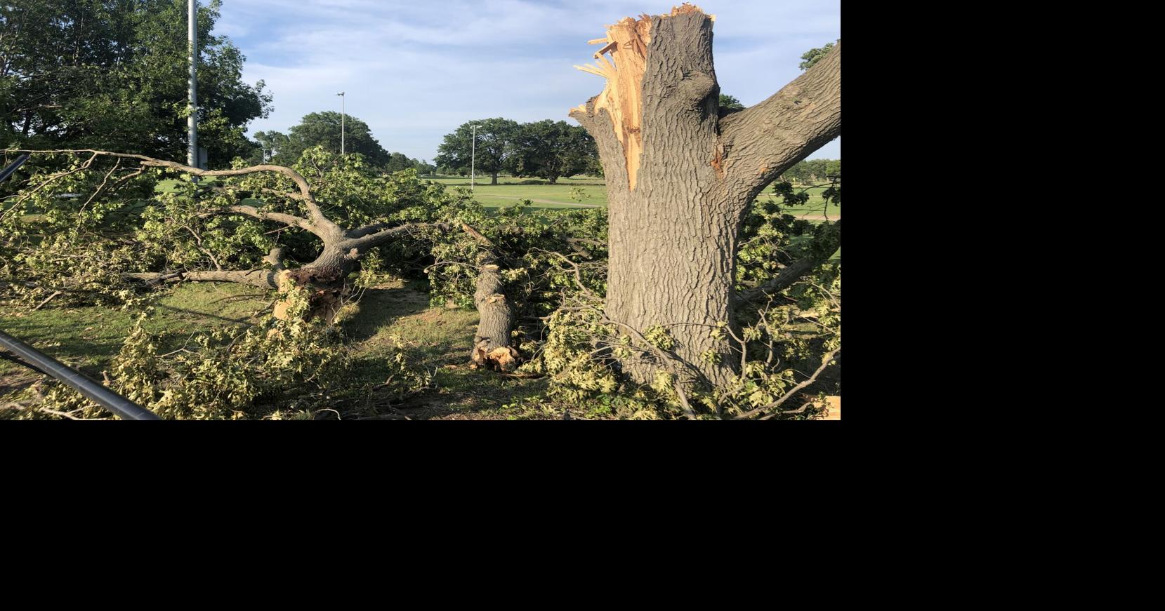 Bill Haisten: After losing 12 prime days, LaFortune Park course reopens ...