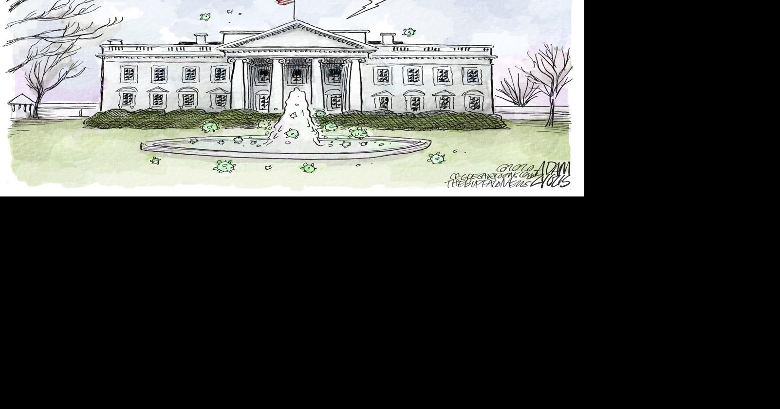 Cartoon