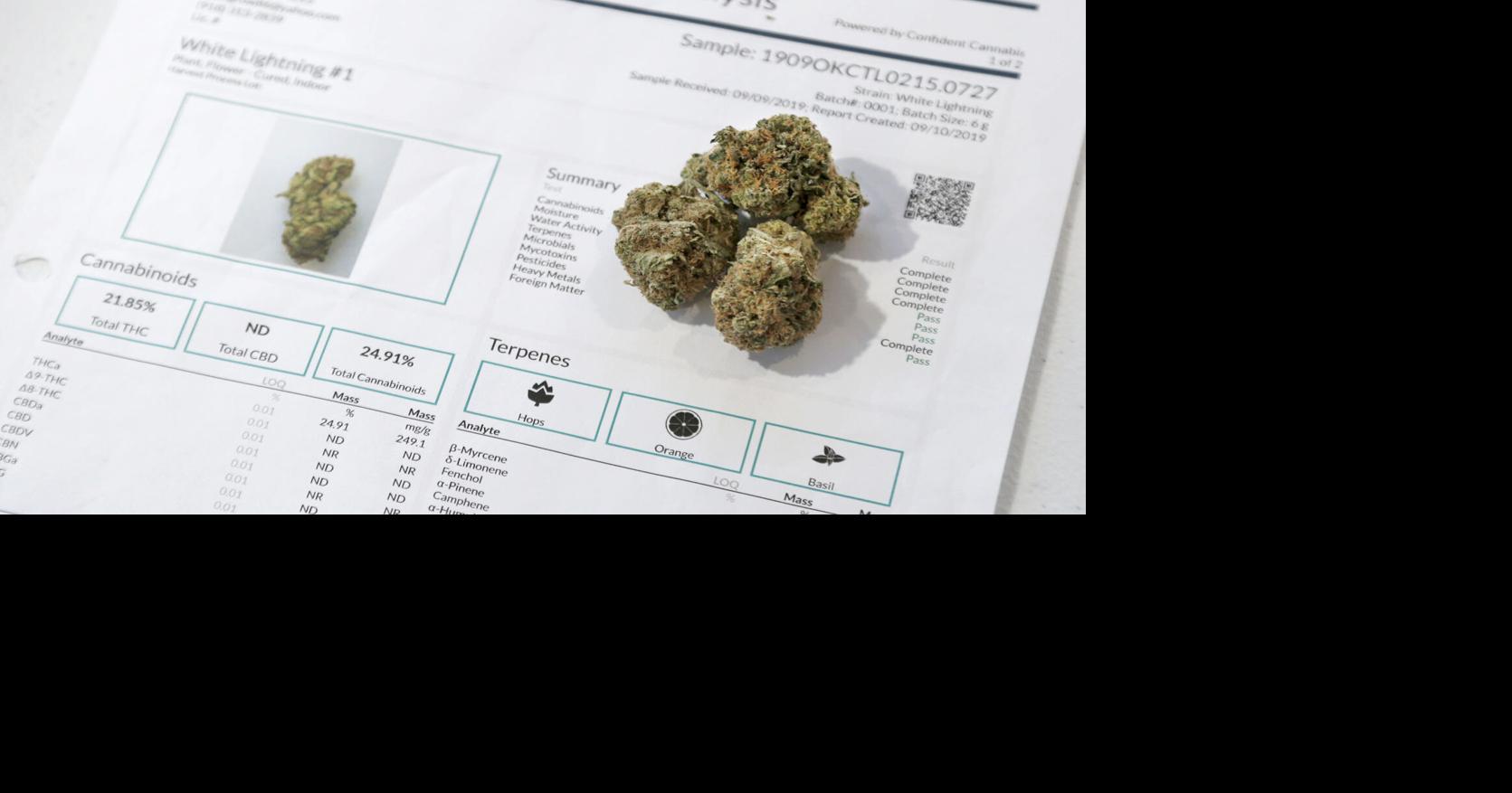 Cannabis lab accused of falsifying test results surrenders Oklahoma ...