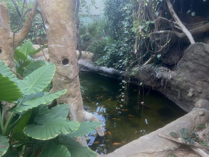 Tulsa Zoo could see upgrades with Improve Our Tulsa 3