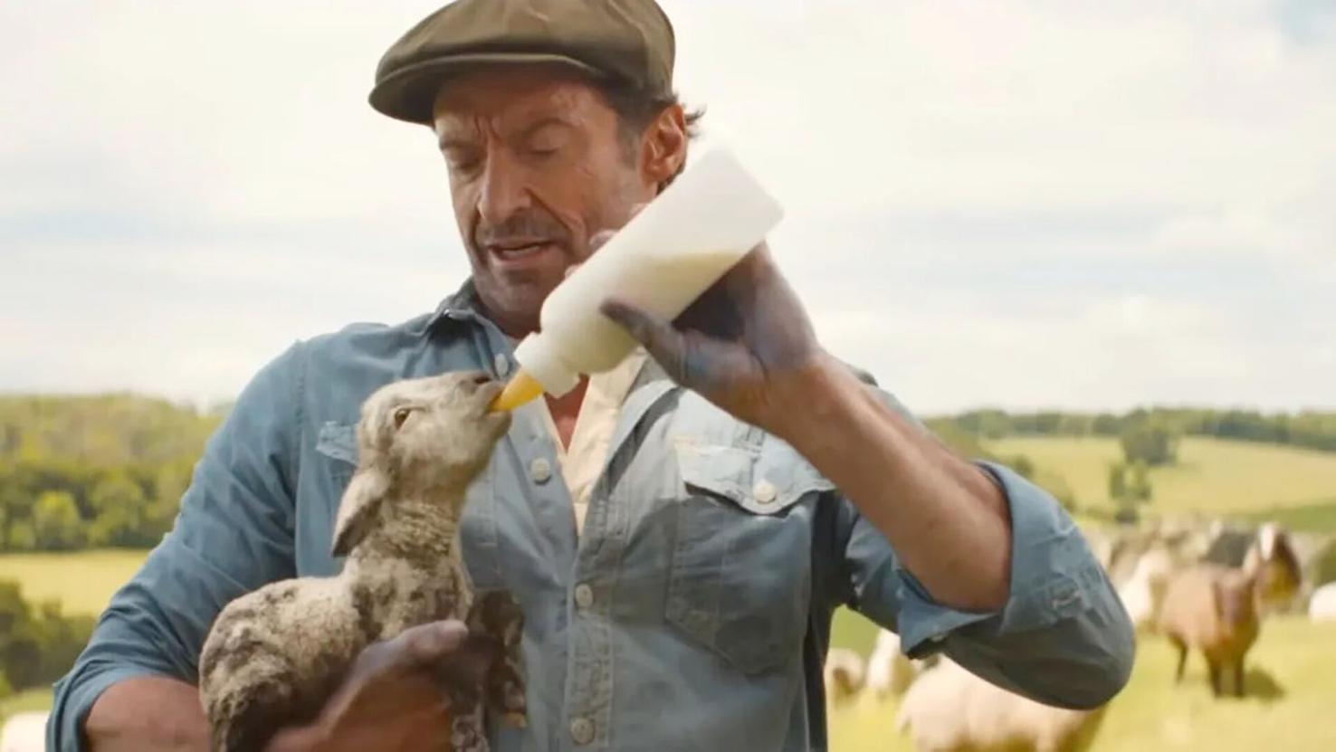 Circle Cinema adds scavenger hunt to 'The Sheep Detectives'