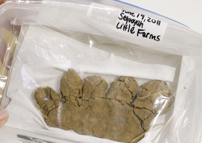 Bigfoot research continues in Oklahoma