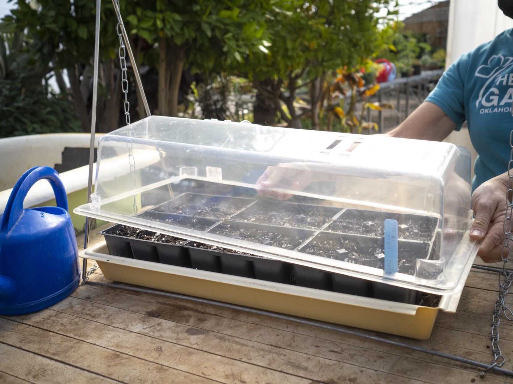 Master Gardener: Guidance on starting plants from seed