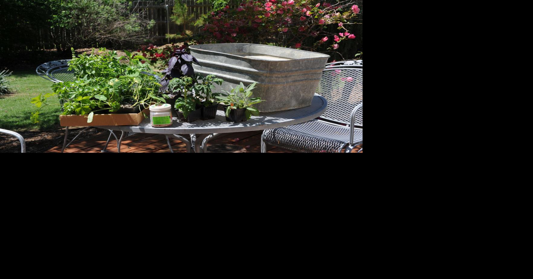 Master Gardener: Tips for container gardening when you have a small space