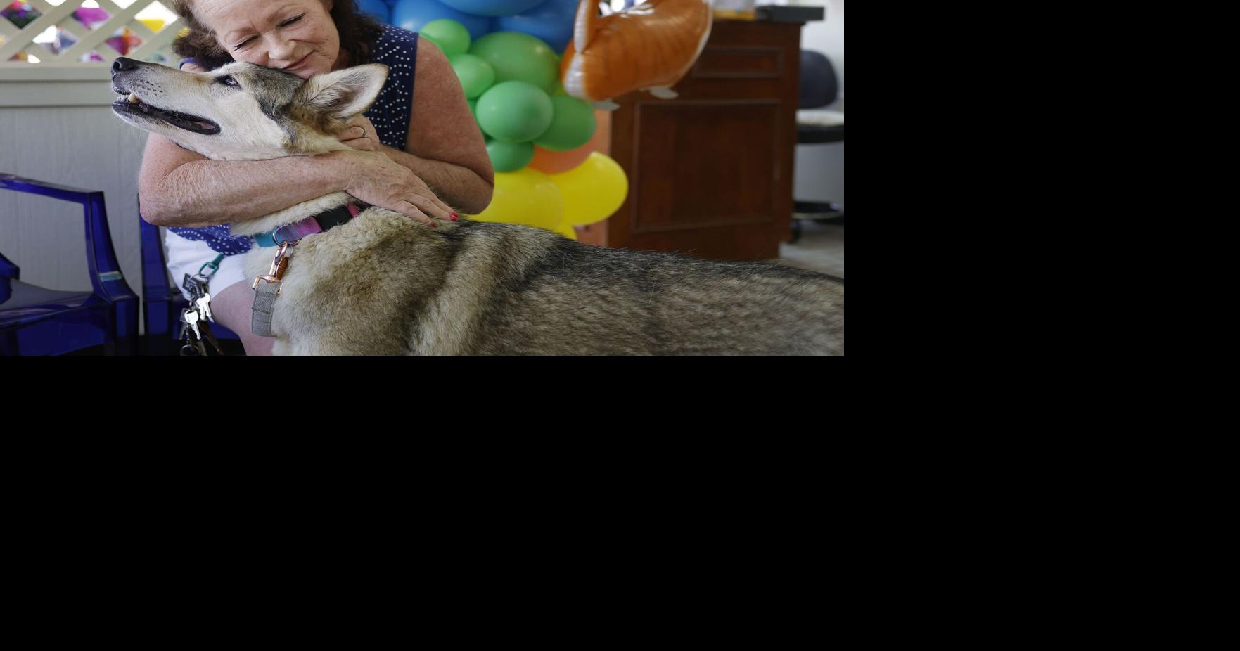 Tulsa Humane Society offers no-fee adoptions for Clear the Shelters event