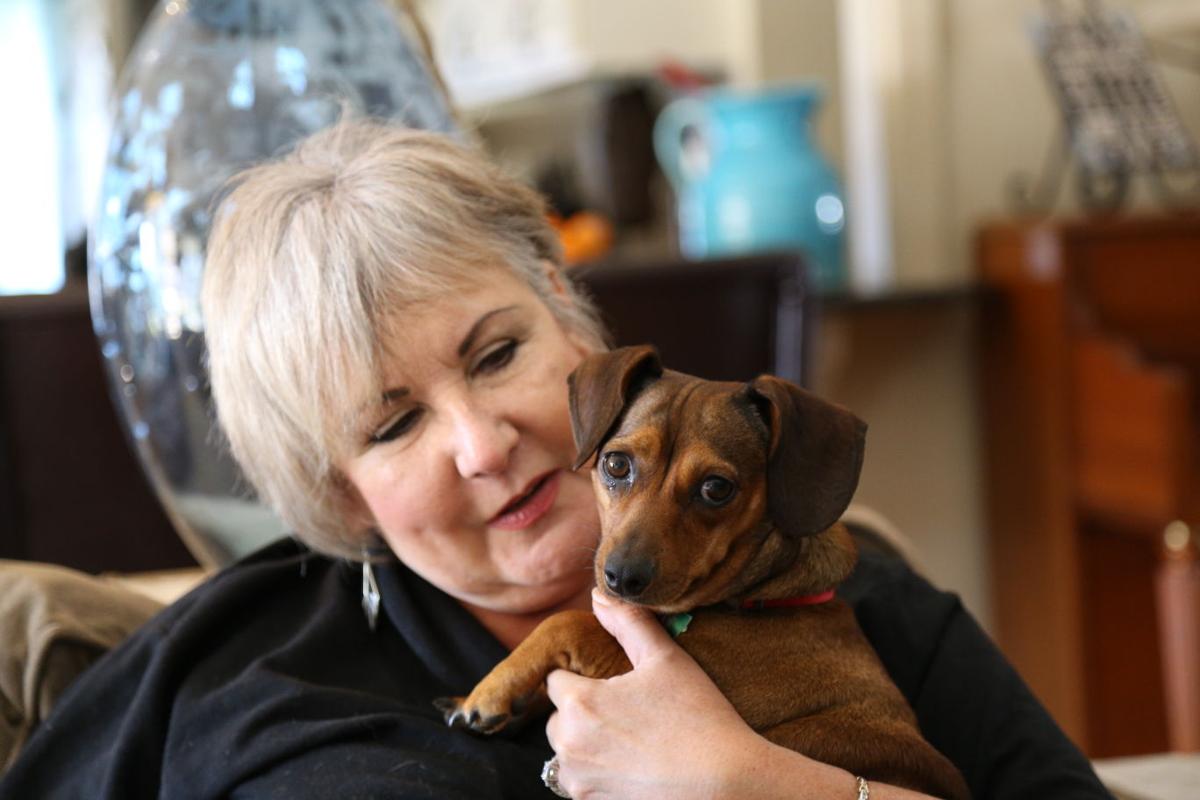 Bever dog also survived