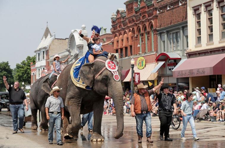 USDA cites troubled circus for elephant’s viral escape