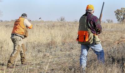Kelly Bostian: Grand National Quail Hunt successful again