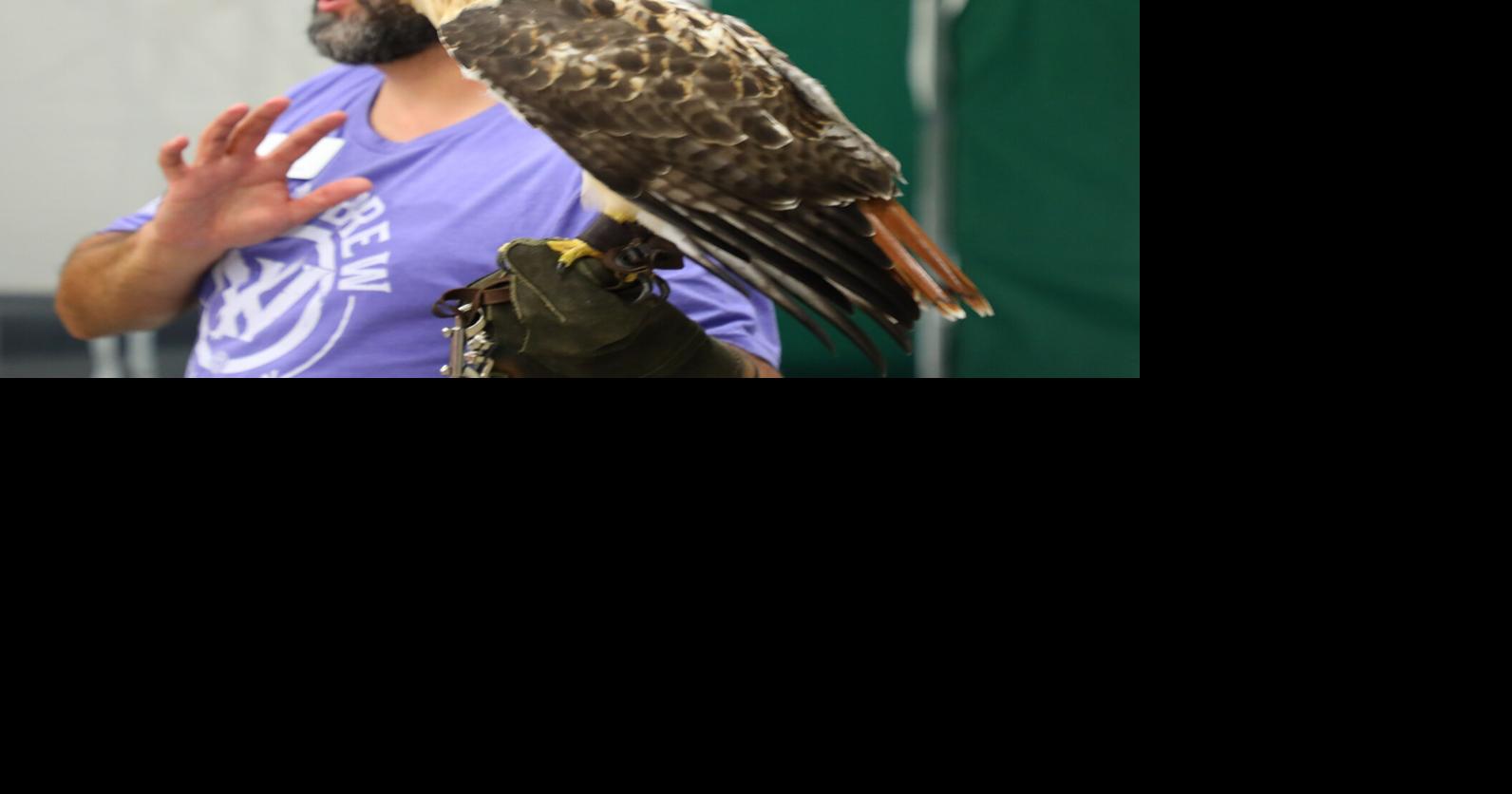 Wild Brew to feature 47 of Tulsa top restaurants, breweries