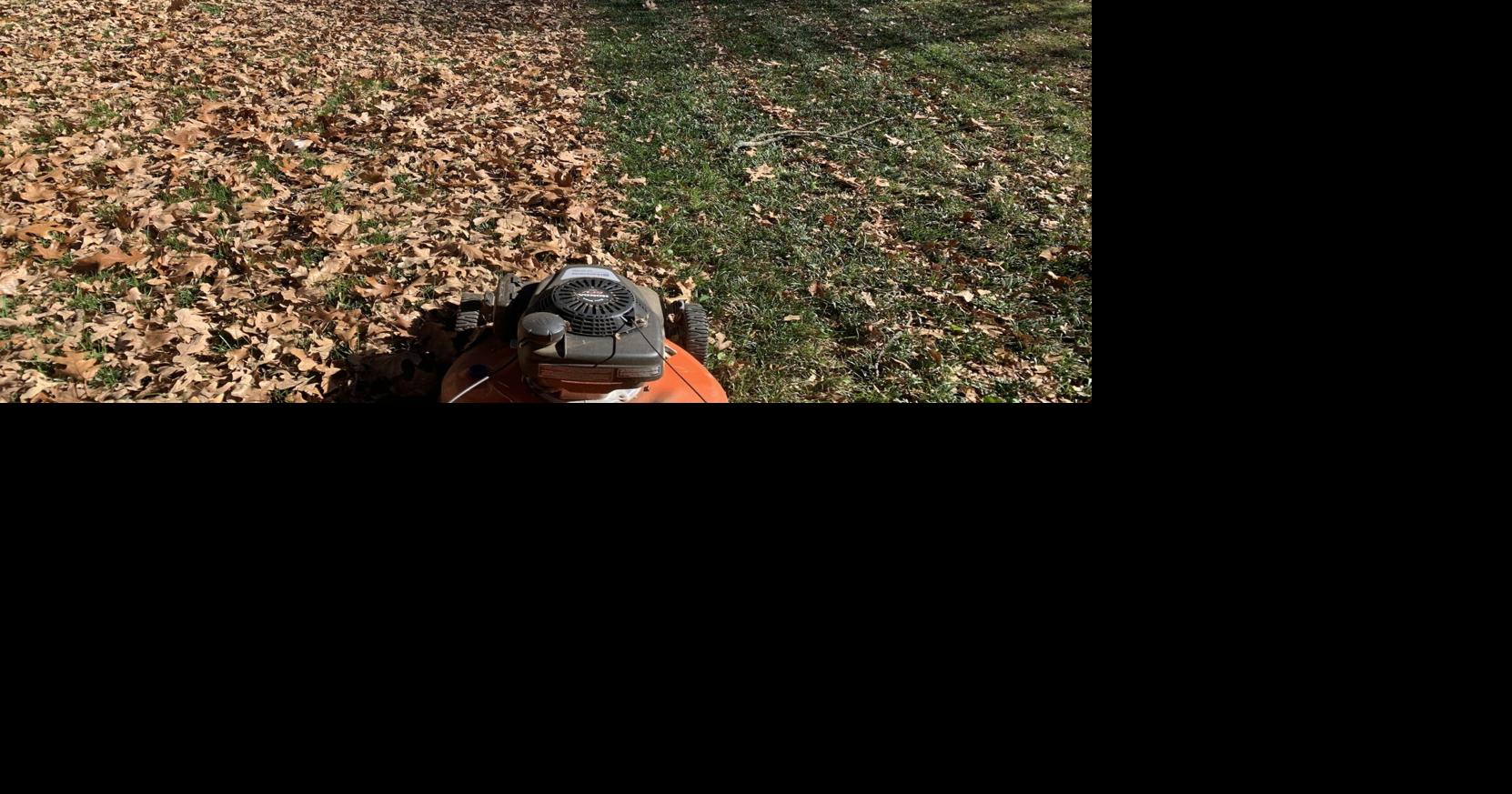 Mulching leaves is easier, cheaper than bagging