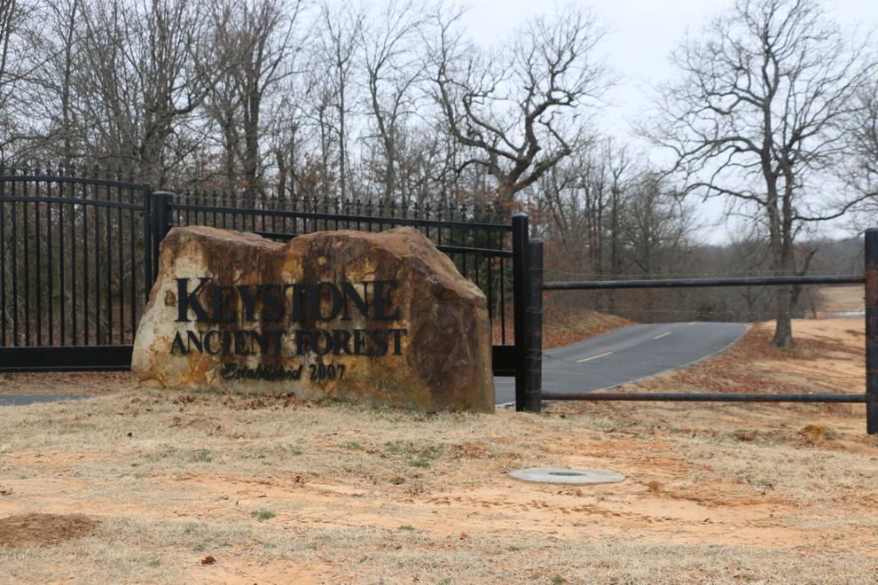 Keystone Ancient Forest a hot spot for fun, fresh air even on cooler days
