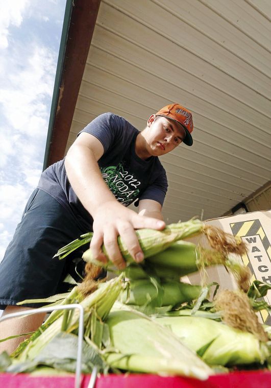 Spotlight: Food trucks, Green Corn Festival, PBS Kids Summerfest and ...