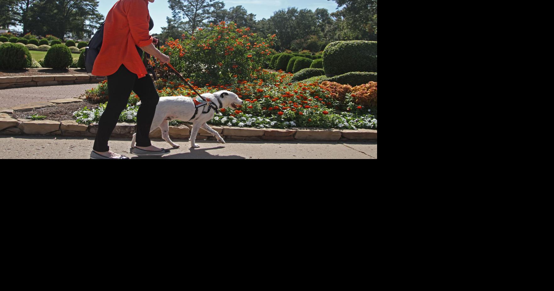 Pete's Pet Posse offers support to OSU after parade tragedy