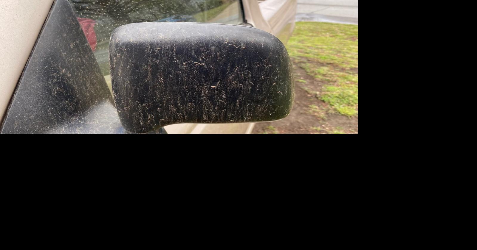 Tulsans see dirty rain overnight: Meteorologist Kirsten Lang has ...