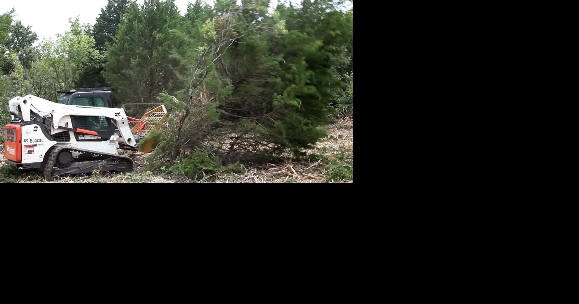Kenneth Wagner: State-federal program helps reclaim damaged areas ...