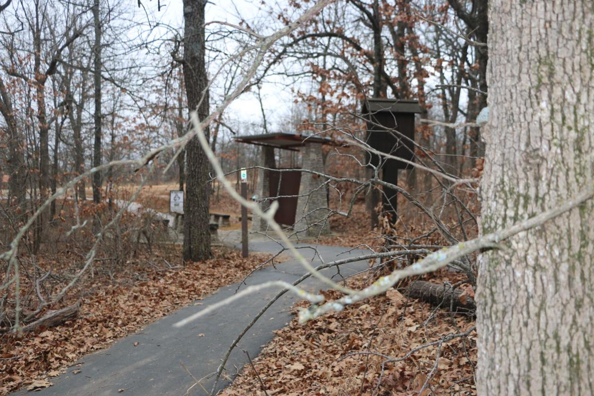 Keystone Ancient Forest a hot spot for fun, fresh air even on cooler days