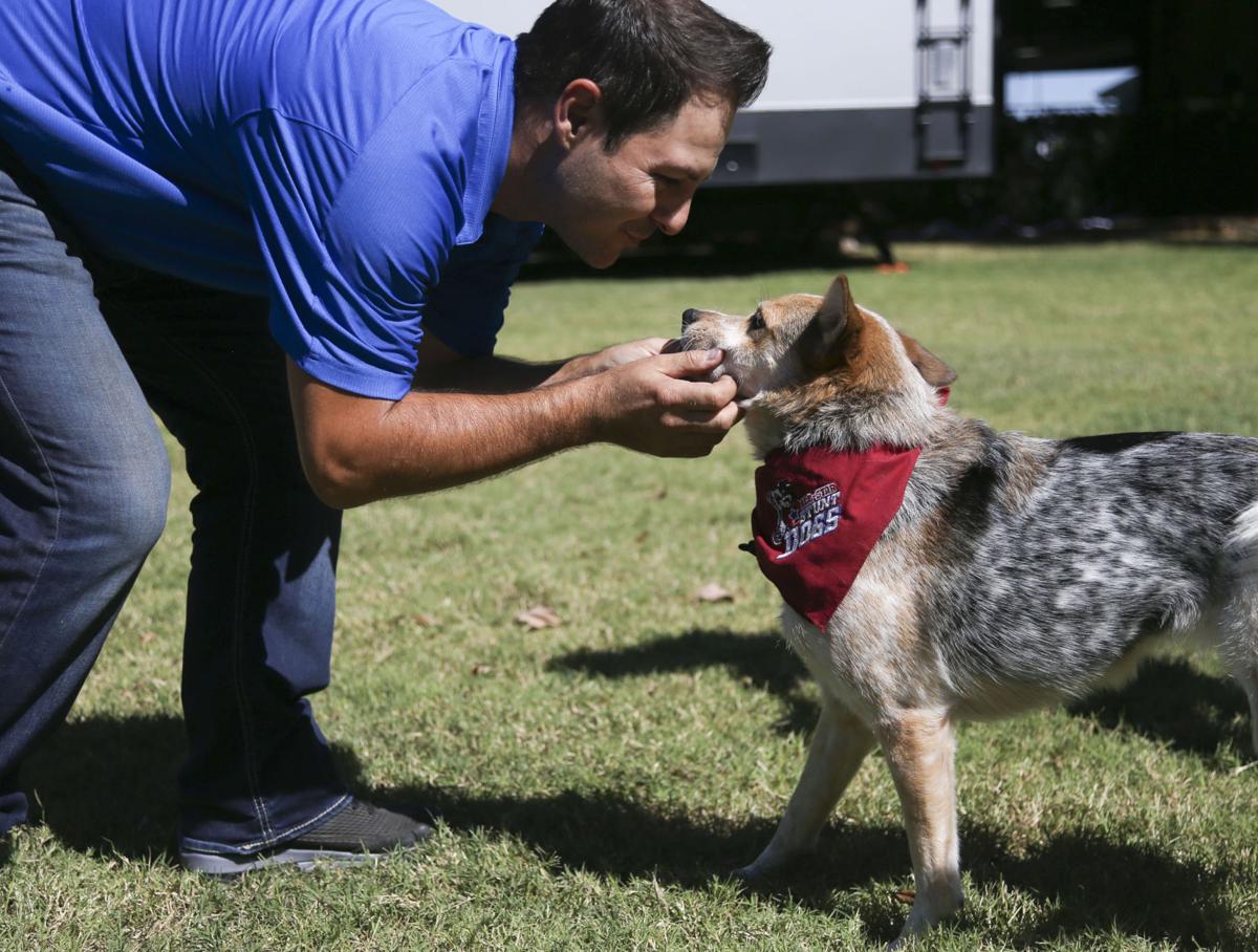 Photo gallery: The amazing Perondi stunt dogs of the Tulsa State Fair