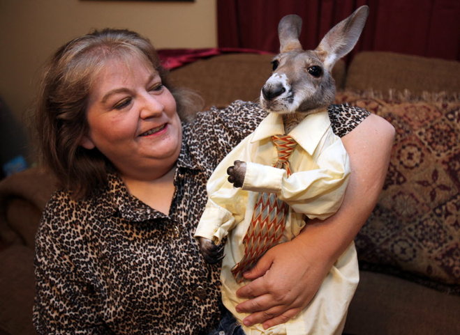 Kangaroo's future in Broken Arrow in doubt