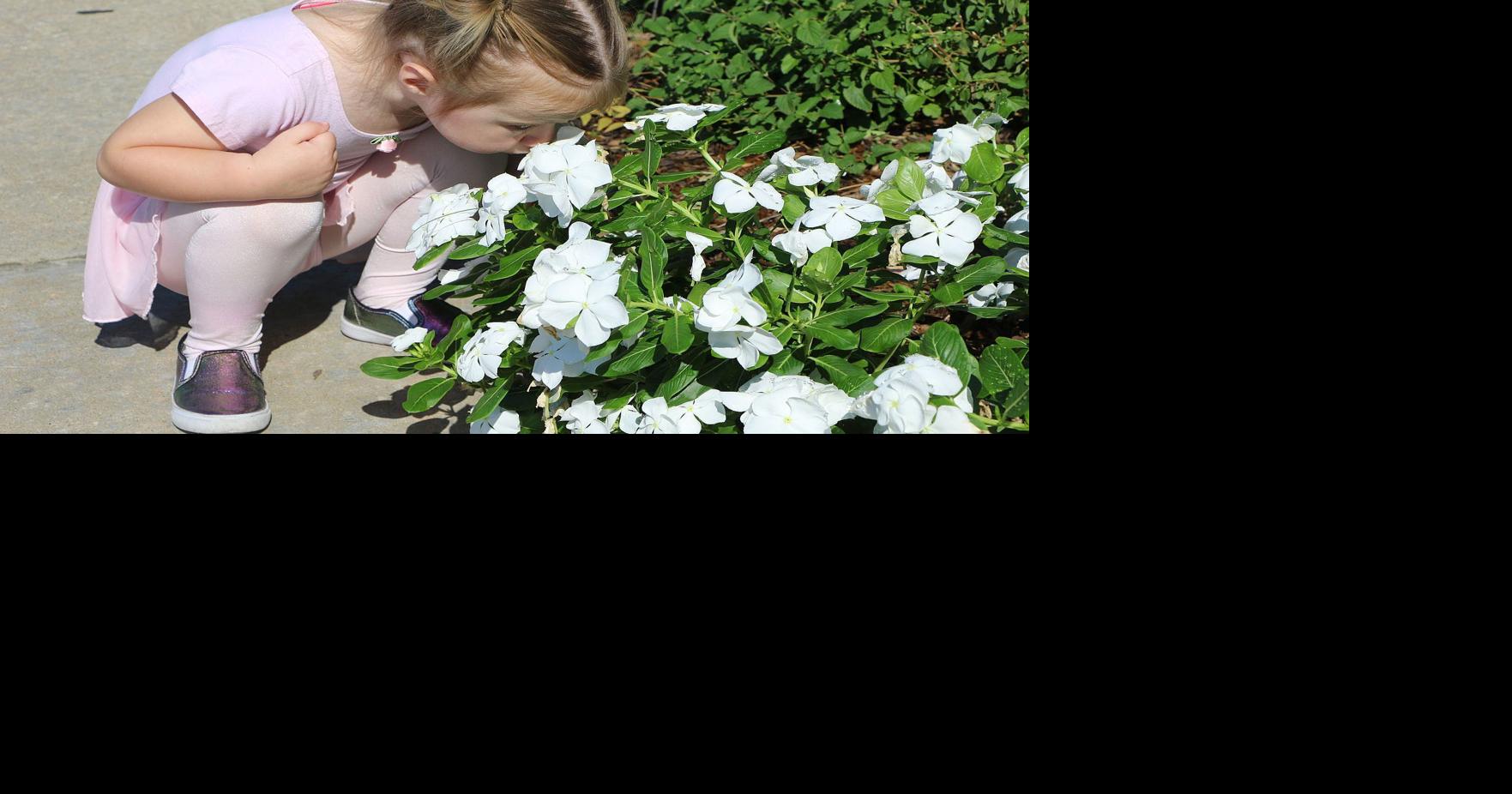 Owasso Library named Owasso Garden Club’s Yard of the Month for July