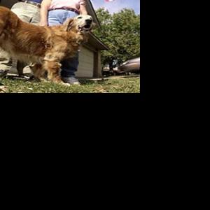 Bair Foundation helps place troubled children in foster care