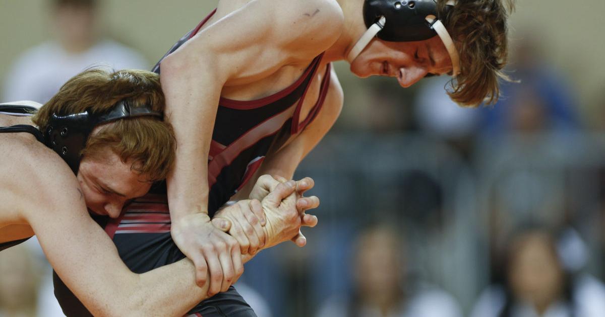 2016 All-Metro wrestling: Meet the first team