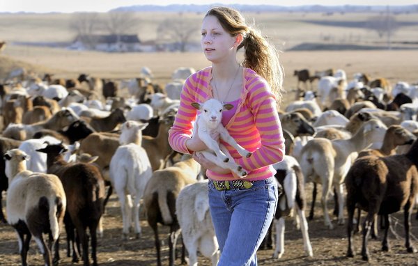 Family that cared for starving livestock in 2007 must wait for repayment